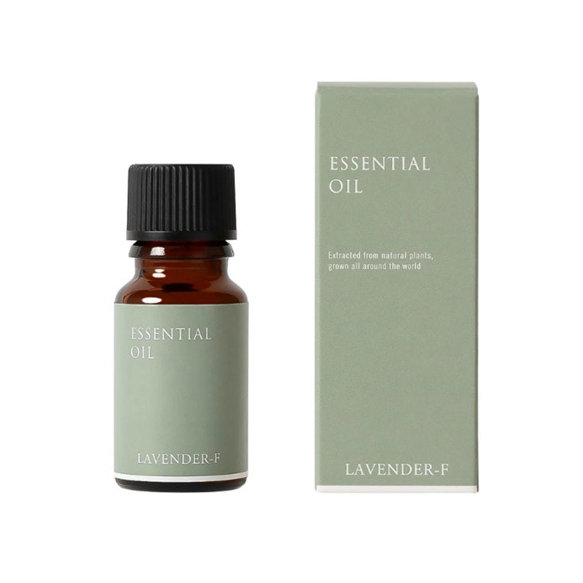 Tree of Life Essential Oil Lavender French Essential Oil 10ml | BEAUTY ...